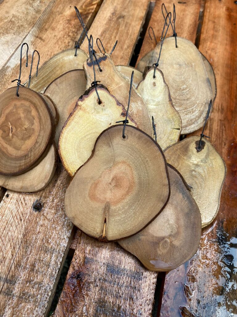Bolachinha de Madeira Para Micros – Orquidário Matsuoka